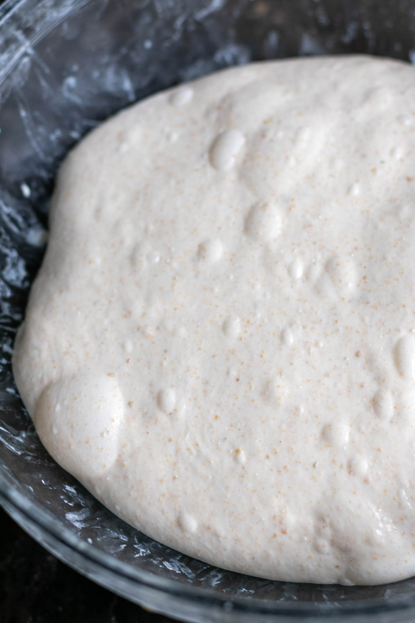 Sourdough Bulk Fermentation 101 Sourdough Brandon