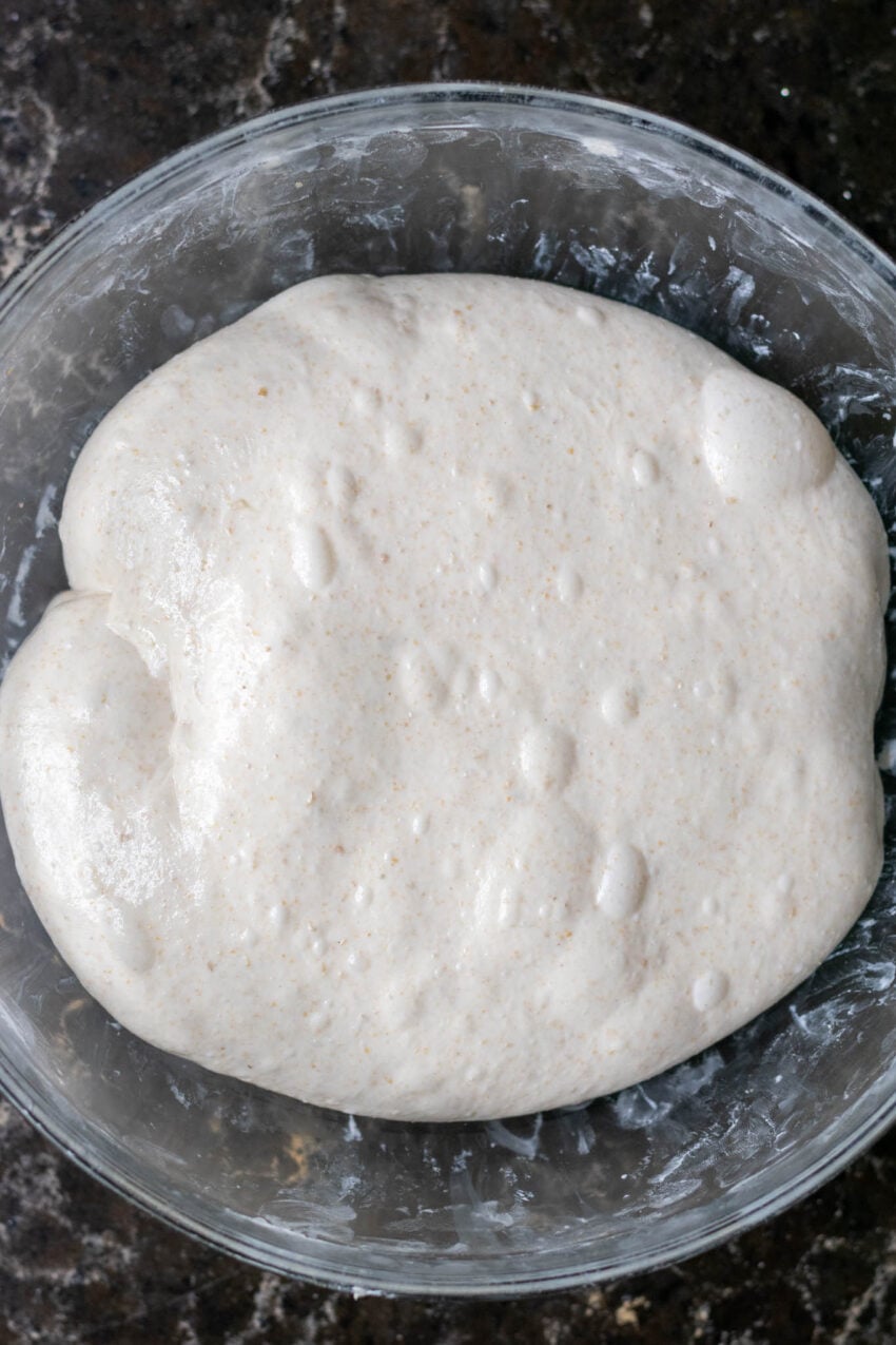 Sourdough Bulk Fermentation 101 [Pictures!] – Sourdough Brandon