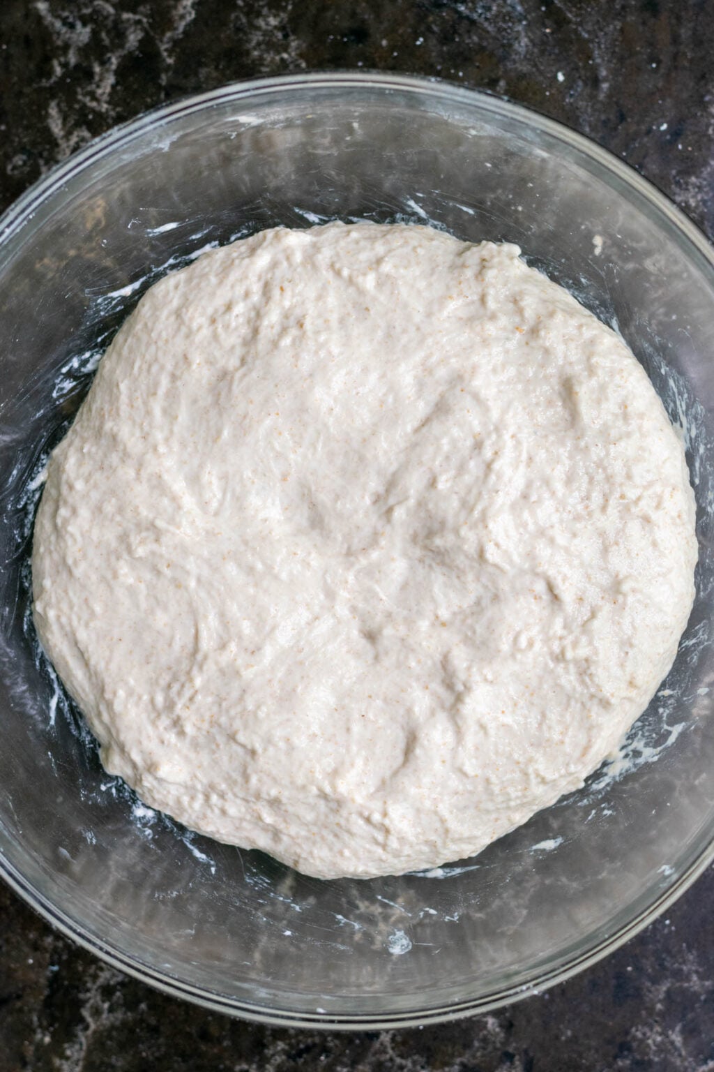 Sourdough Bulk Fermentation 101 [Pictures!] – Sourdough Brandon