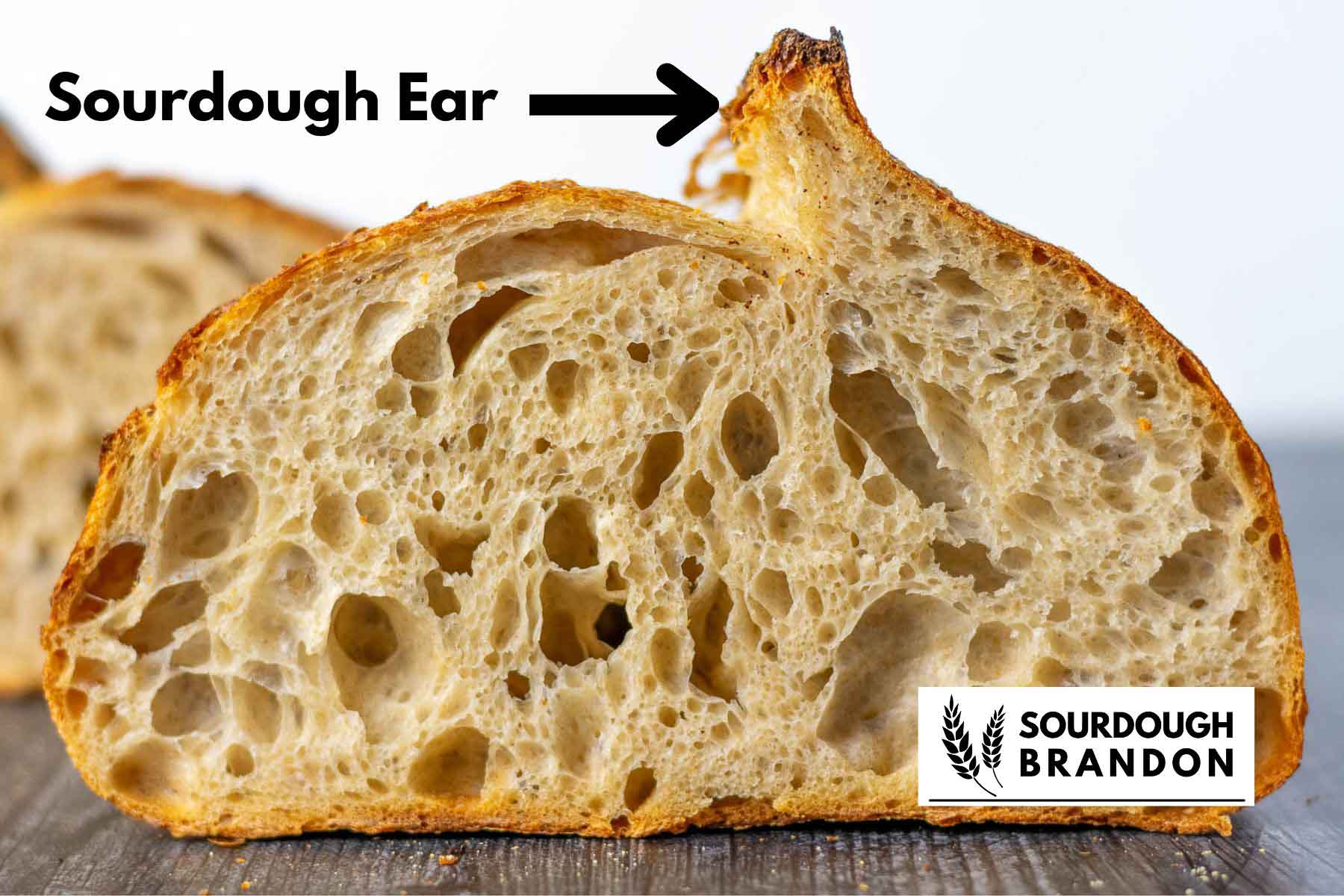 Sourdough Ears 101 – Sourdough Brandon