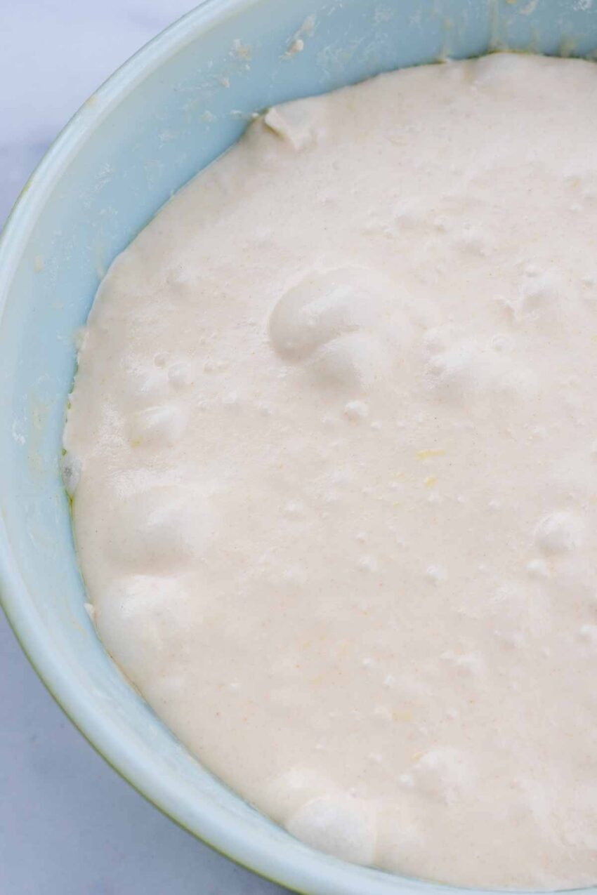 Sourdough Pan de Cristal (Glass Bread) – Sourdough Brandon