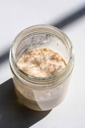 What is a Sourdough Levain? – Sourdough Brandon