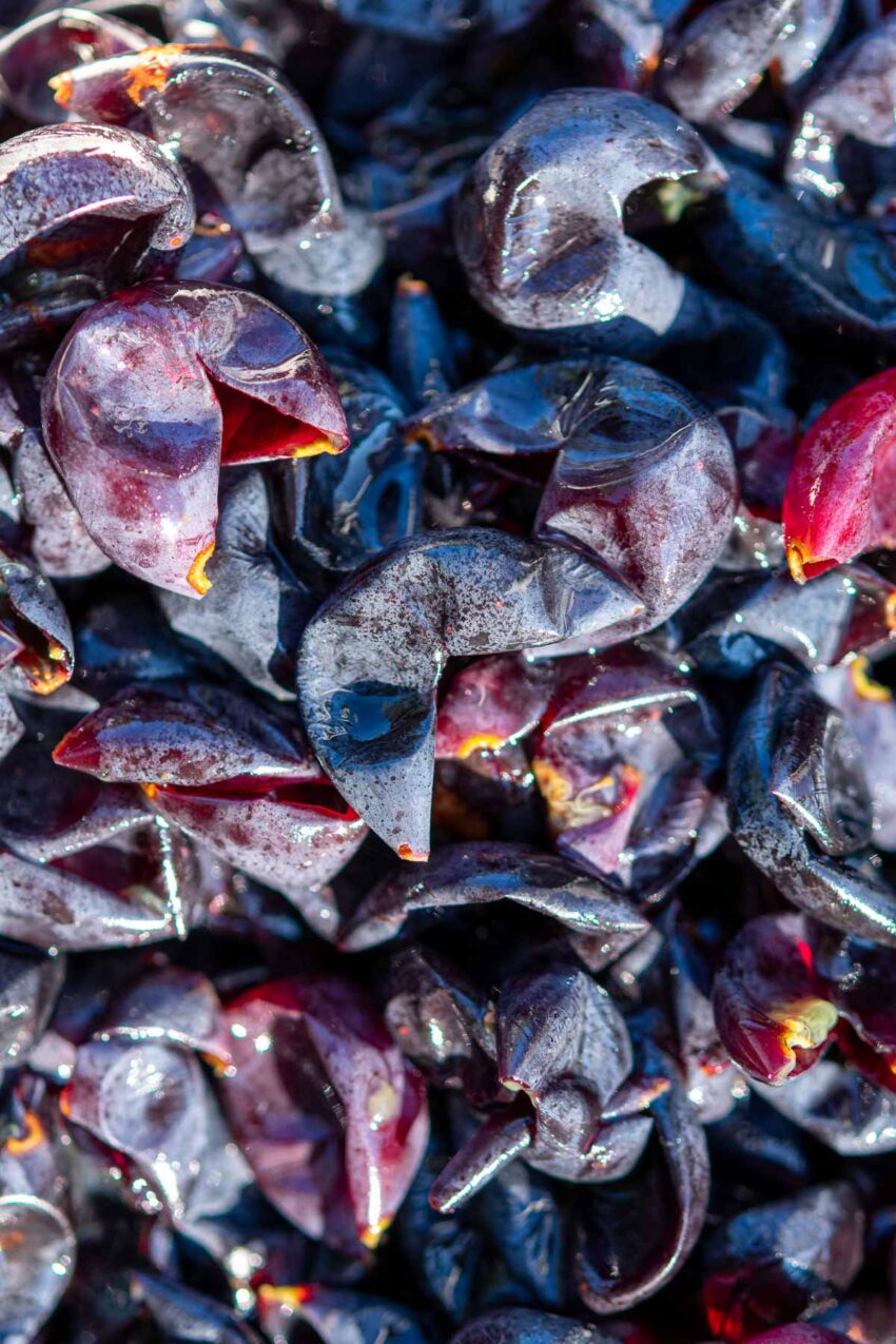 Concord Grape Jam with Vanilla [No Pectin] – Sourdough Brandon