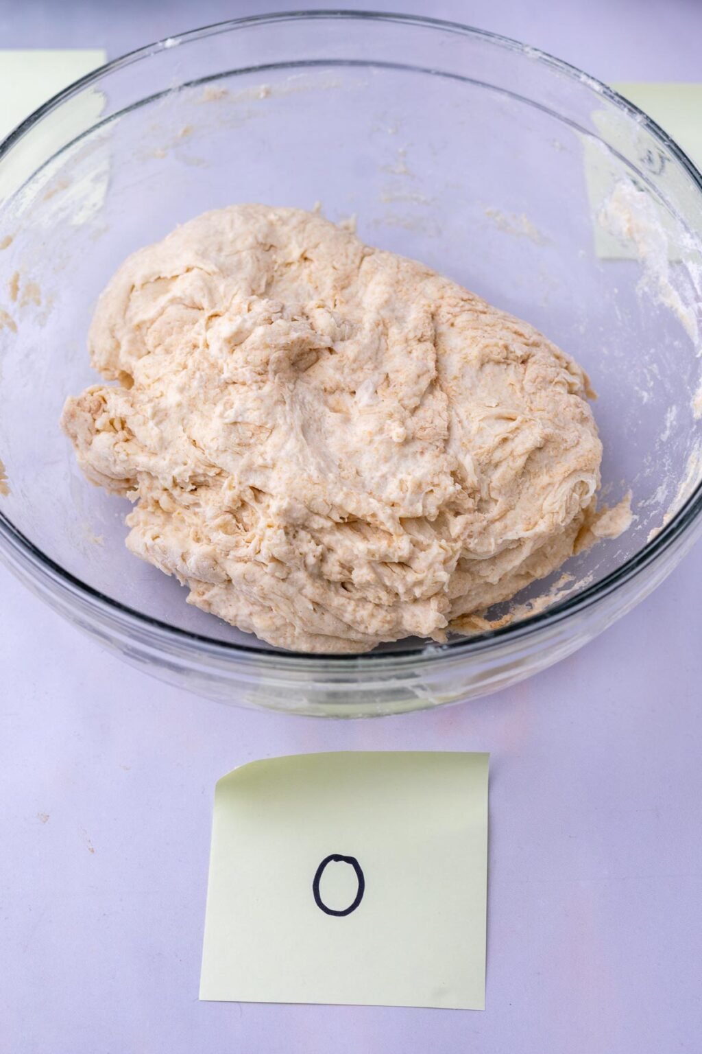 Sourdough Autolyse 101 – Sourdough Brandon