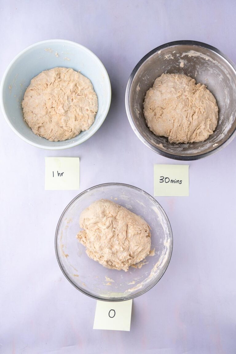 Sourdough Autolyse 101 – Sourdough Brandon