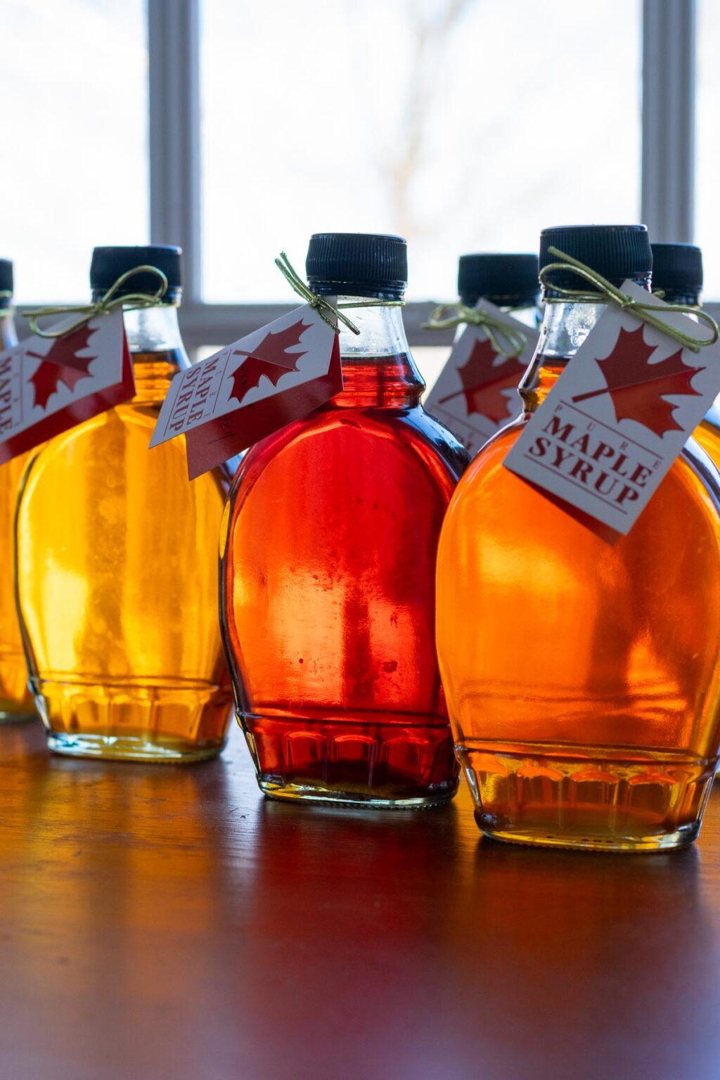 How to Make Homemade Maple Syrup (In Your Backyard!)